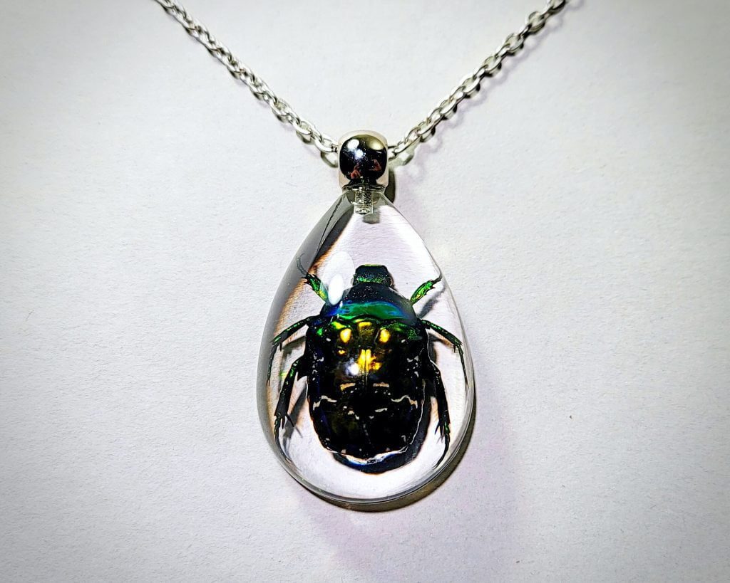 Real Insect Jewelry - Insects In Resin, Insect necklaces and pendants