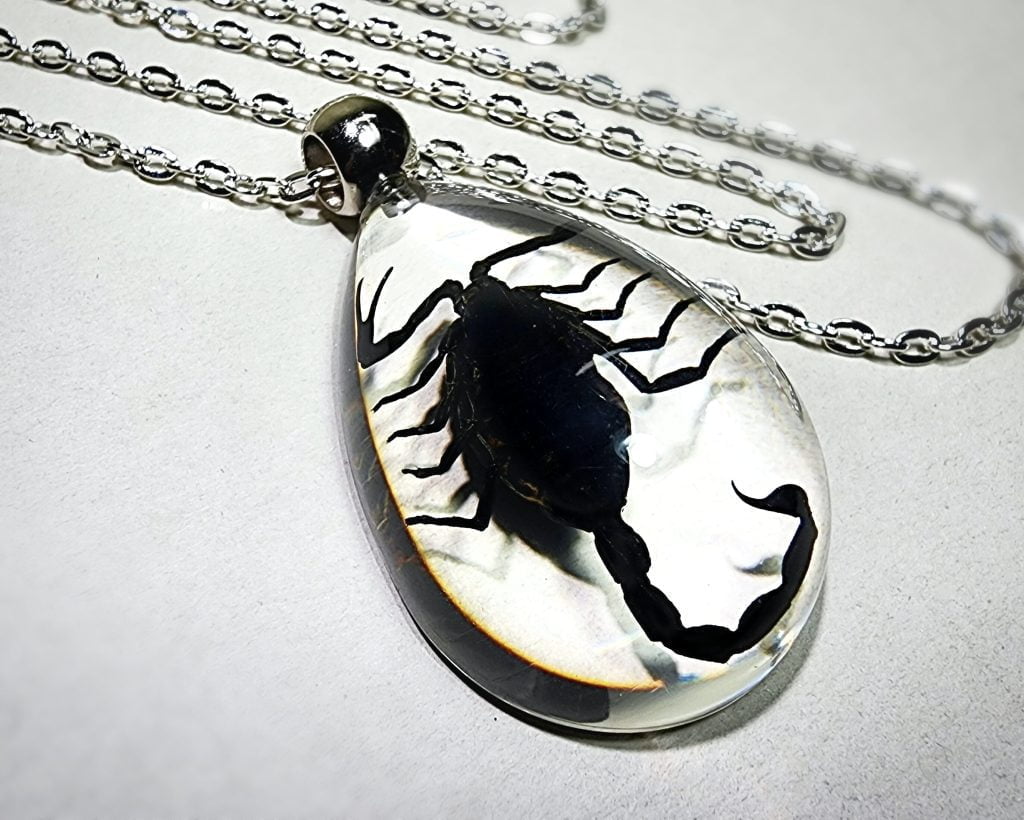 Black Scorpion Necklace, Real Insect Jewelry - Insects In Resin